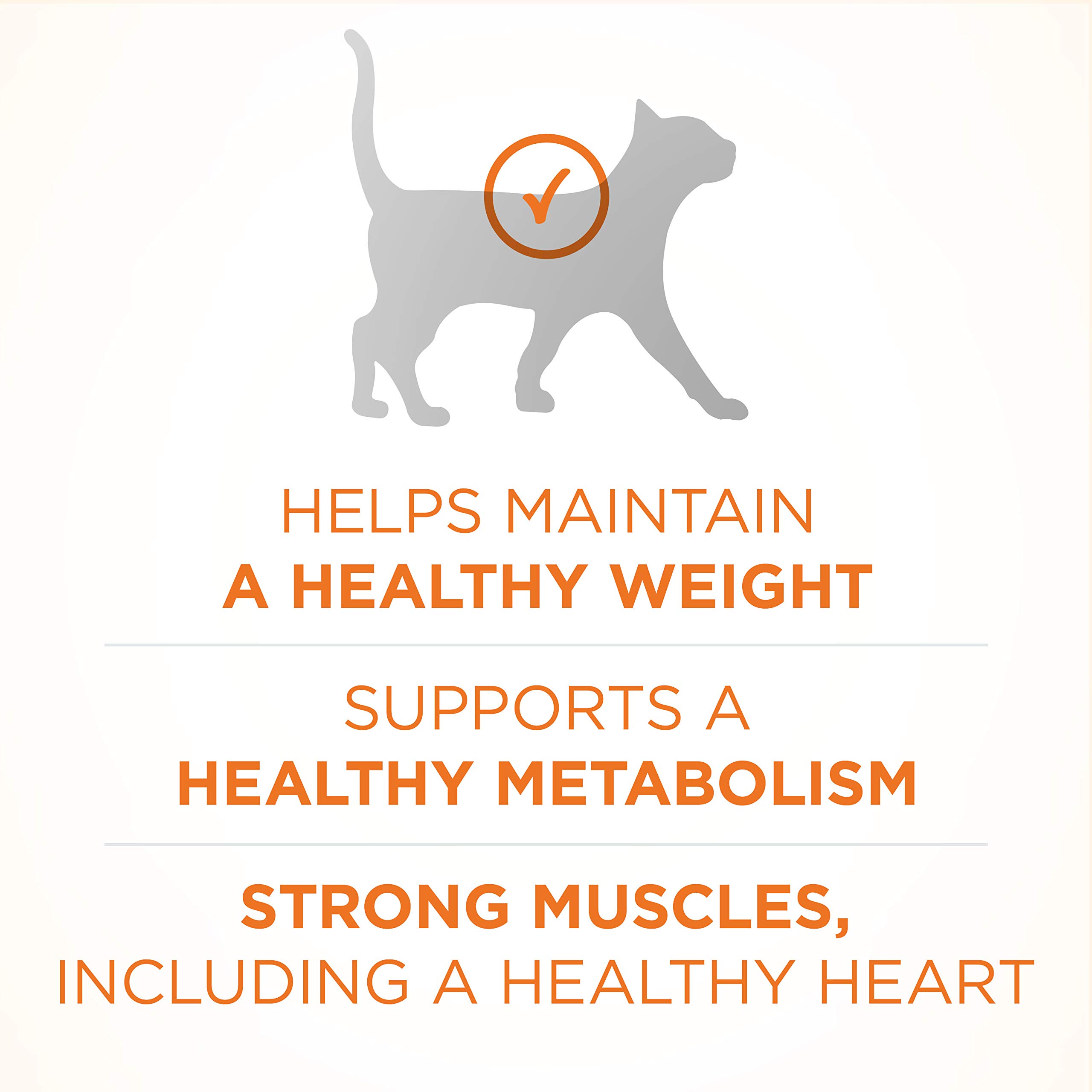 Purina ONE High Protein, Healthy Weight Dry Cat Food, +Plus Ideal Weight With Turkey - 7 lb. Bag
