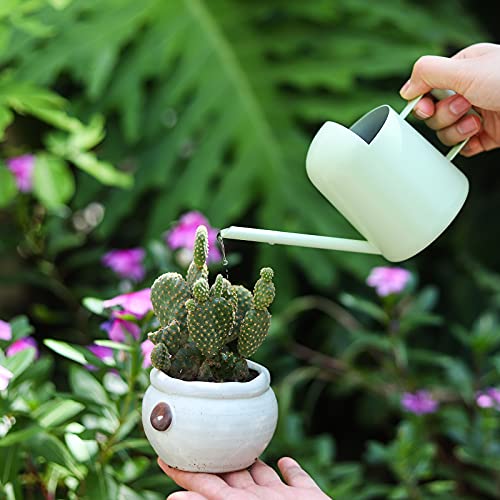 YISSSN Mini Bonsai Watering Can for Indoor Plants Stainless Steel, 10oz/300ml (Green)