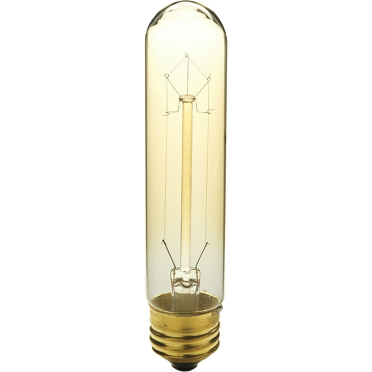 Progress Lighting 40 Watt T9, E26 Antique Lamp
