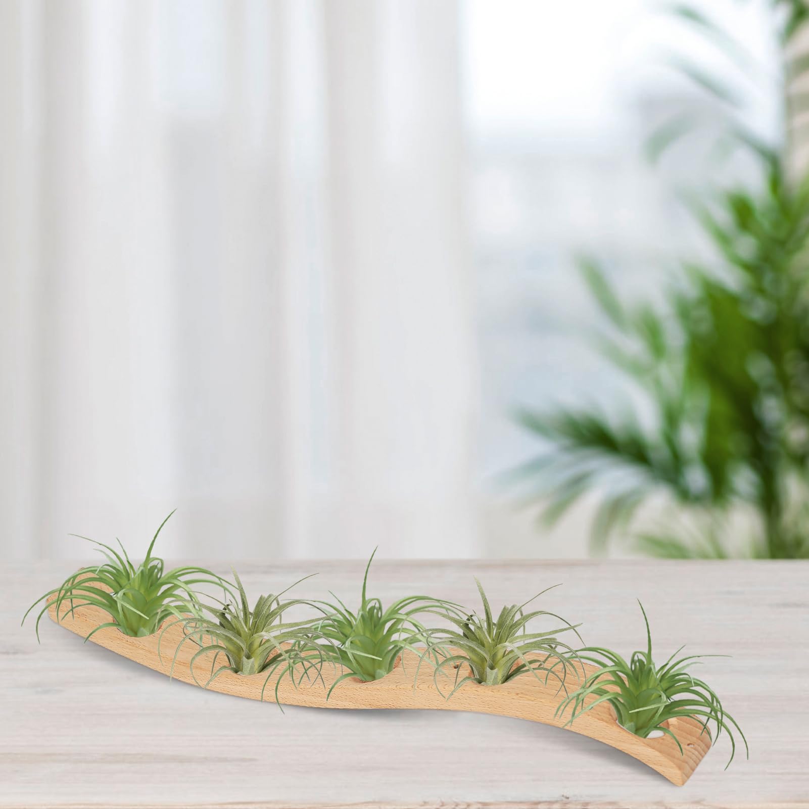Perfin 2 PACK Wavy Wood Air Plant Holders Unique Hanging Airplant Holders Wall Display For Air Plants Live Indoor Plants Home Office Wall Decorโฆ
