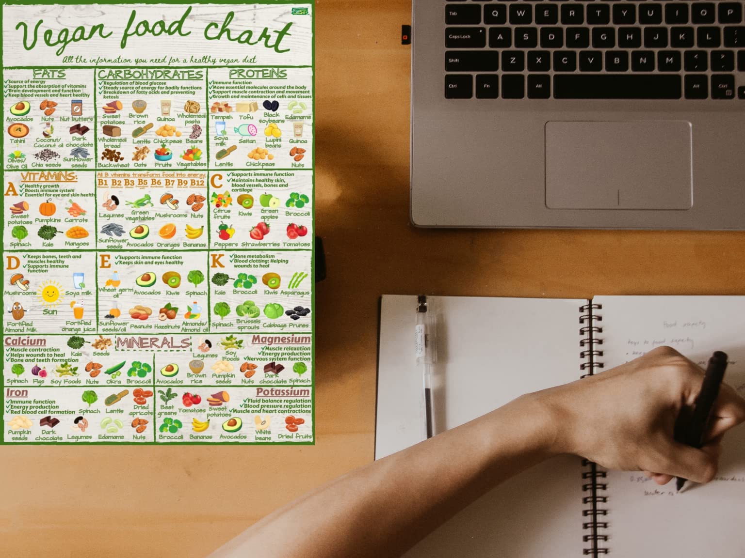 Vegan Healthy Food Chart Guide - Informative Nutrition Vitamins Minerals Magnetic Fridge Chart - Stylish Colourful Water Resistant Kitchen Guide Magnet