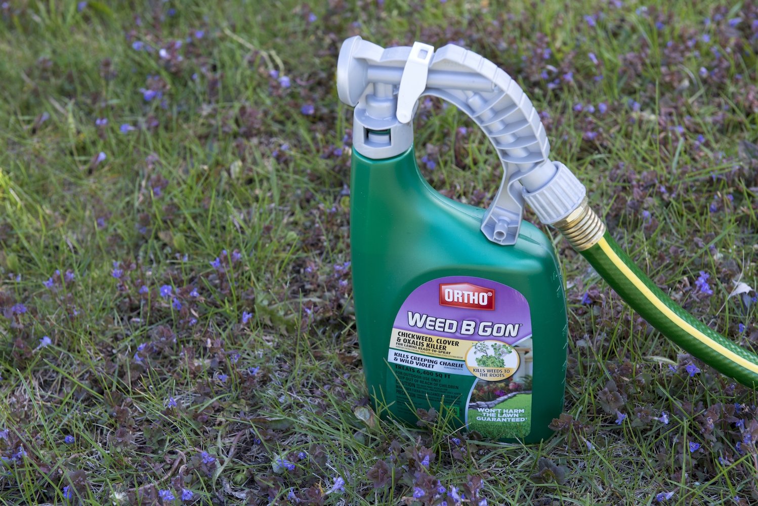 Ortho Weed B Gon Chickweed, Clover & Oxalis Killer for Lawns, 32 Oz.