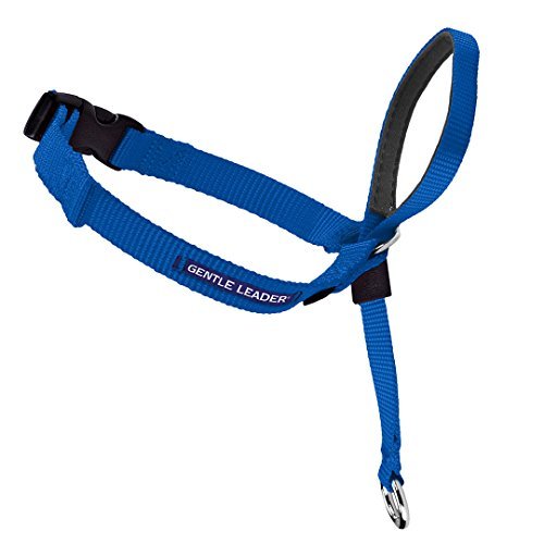 Premier-Pet-Products Gentle Leader Qucik Release Headcollar: Large, Royal Blue