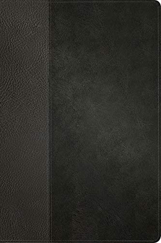 NLT Personal Size Giant Print Bible, Filament-Enabled Edition (LeatherLike, Black/Onyx, Indexed, Red Letter): Includes Free Access to the Filament ... Notes, Devotionals, Worship Music, and Video