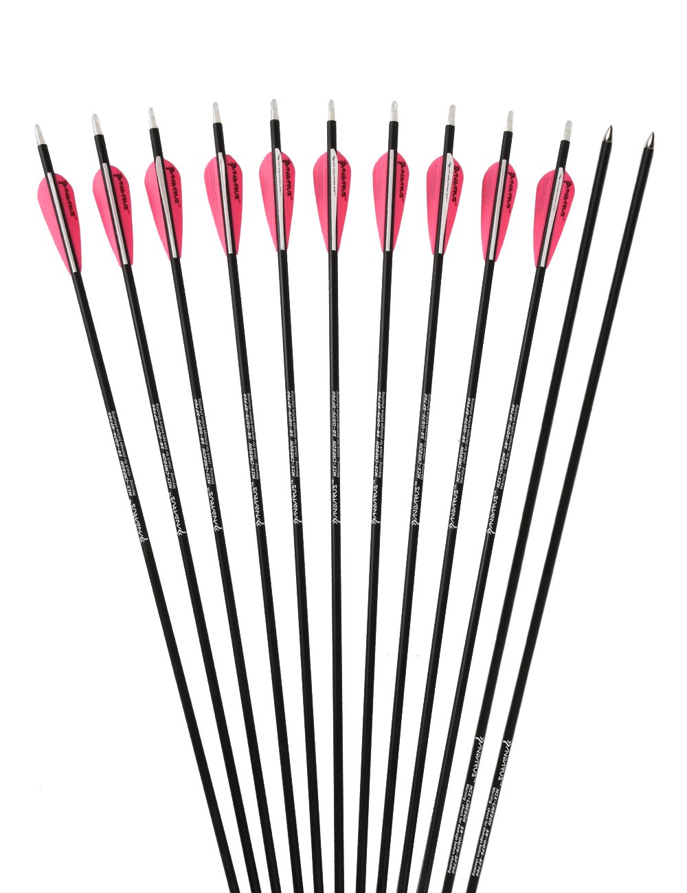PANDARUS Archery Carbon Arrows 28-Inch Safety Beginner's Target Practice for Compound & Recuve Bow - (Pack of 12) Pink