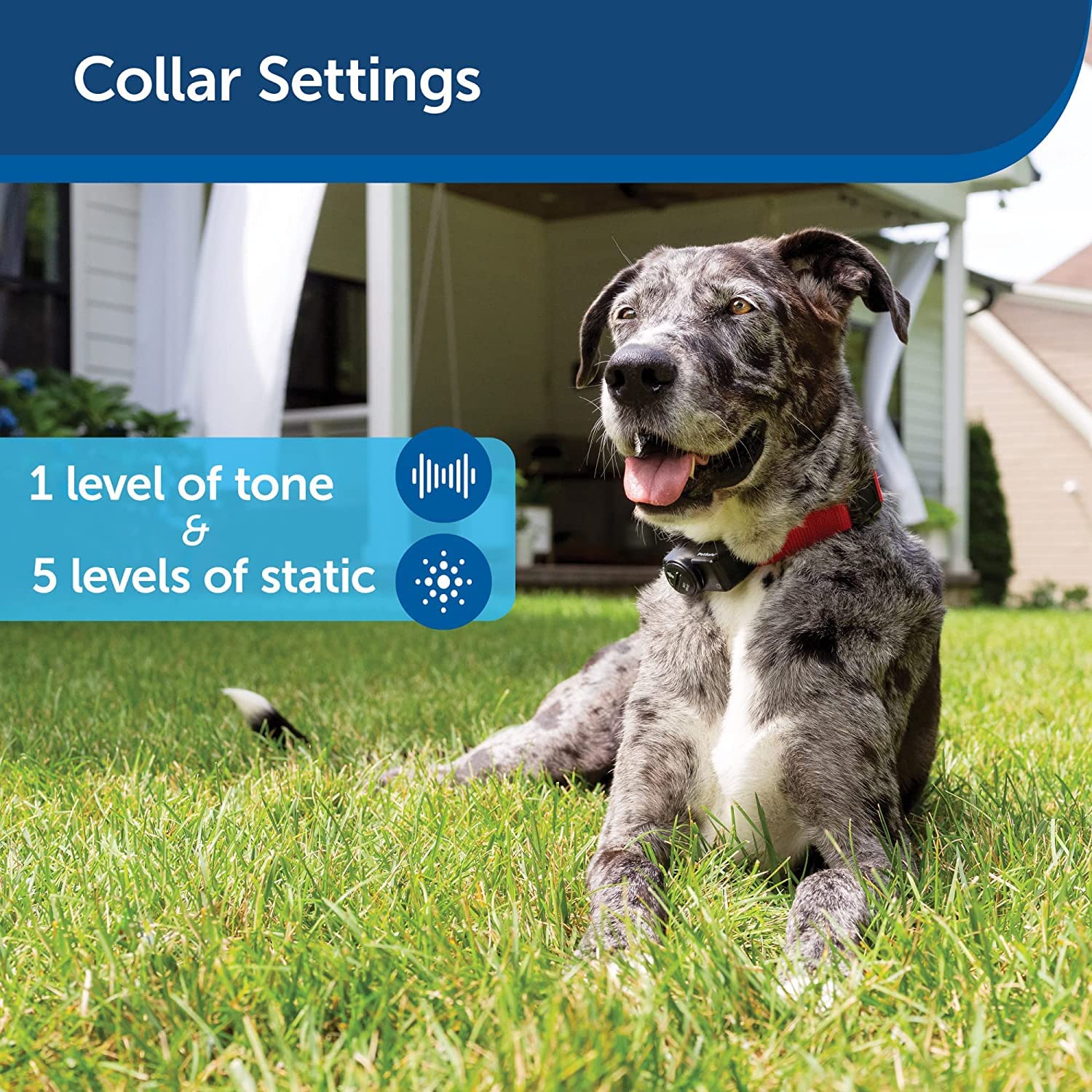 PetSafe Wireless Fence Pet Containment System, Covers up to 1/2 Acre, for Dogs Over 8 lb., 2 Waterproof Collar with Tone/Static Correction