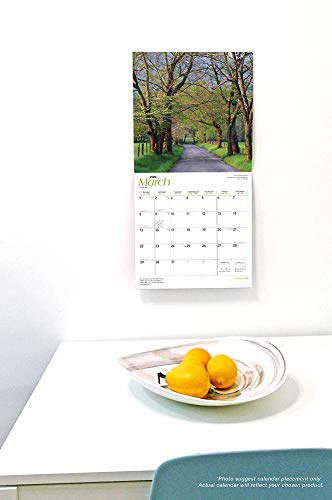 Parrots 2020 12 x 12 Inch Monthly Square Wall Calendar, Domestic Wildlife Animals Birds