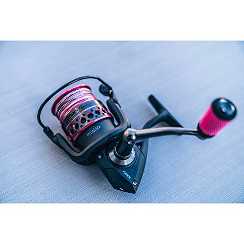 PENN Passion Spinning Reel and Fishing Rod Combo