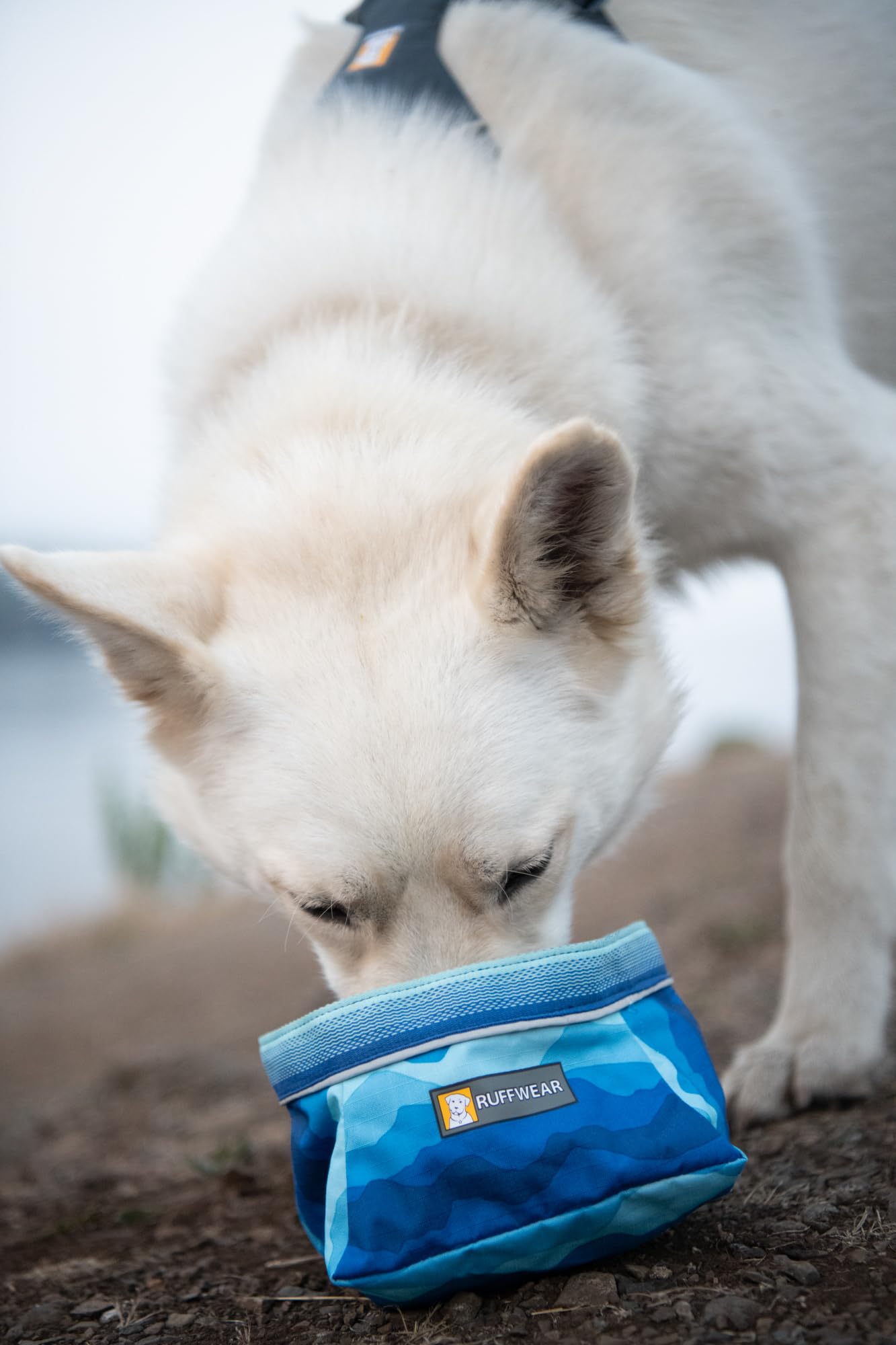 Ruffwear, Quencher Dog Bowl, Collapsible, Portable Food and Water Bowl, Huckleberry Blue, Large