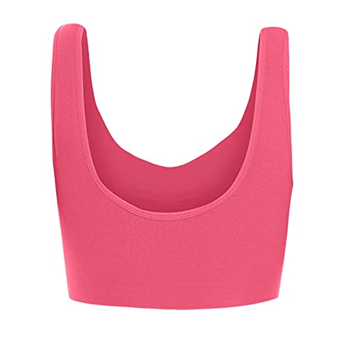 Womens Plus Size Seamless Padded Sports Bra Full-Coverage Bra Pullover Wirefree Running Yoga Tank Bra Pack of 3, Multicolor, 3X-Large