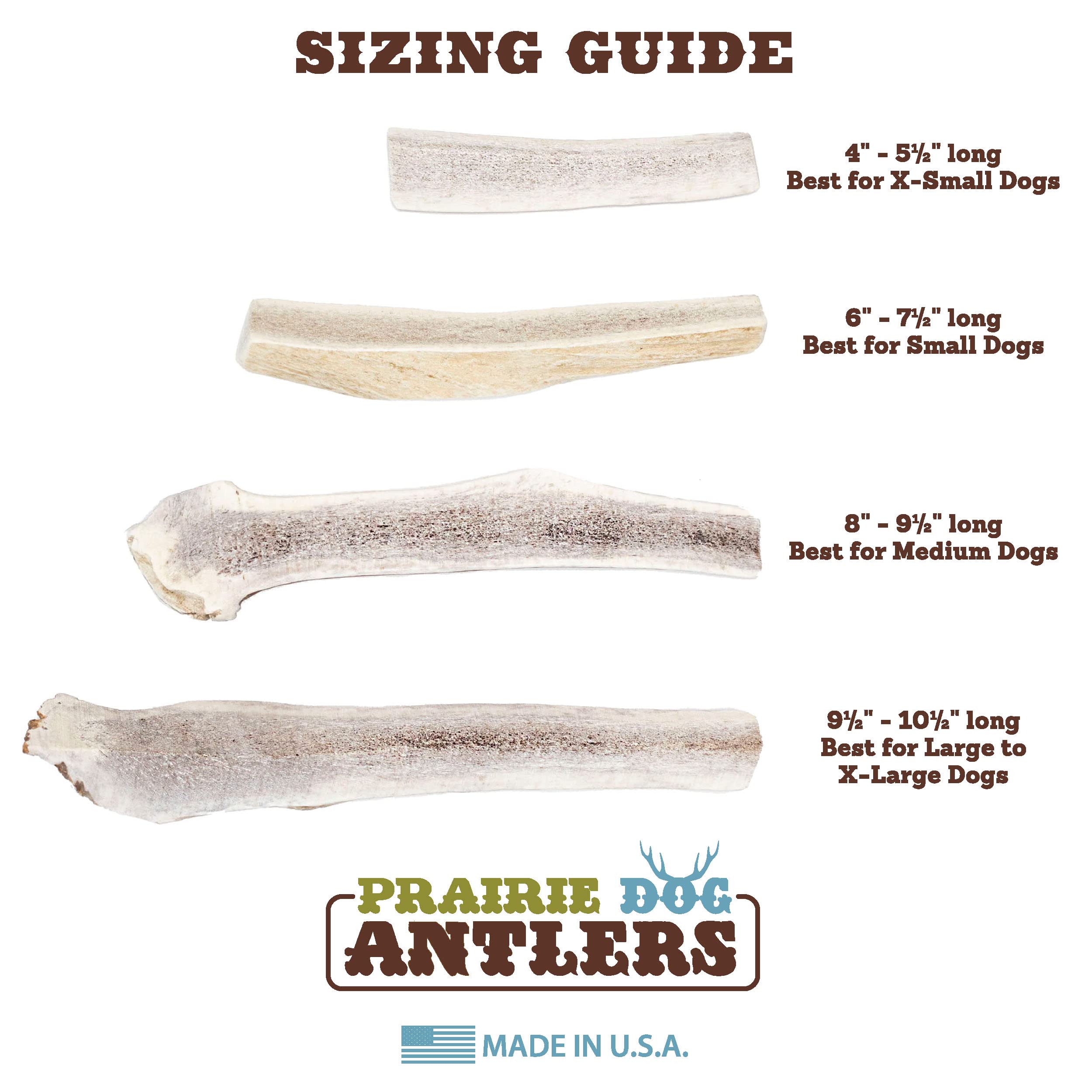 Prairie Dog | Elk Antler Chew | Naturally Shed - Hand Harvested in North America | Large