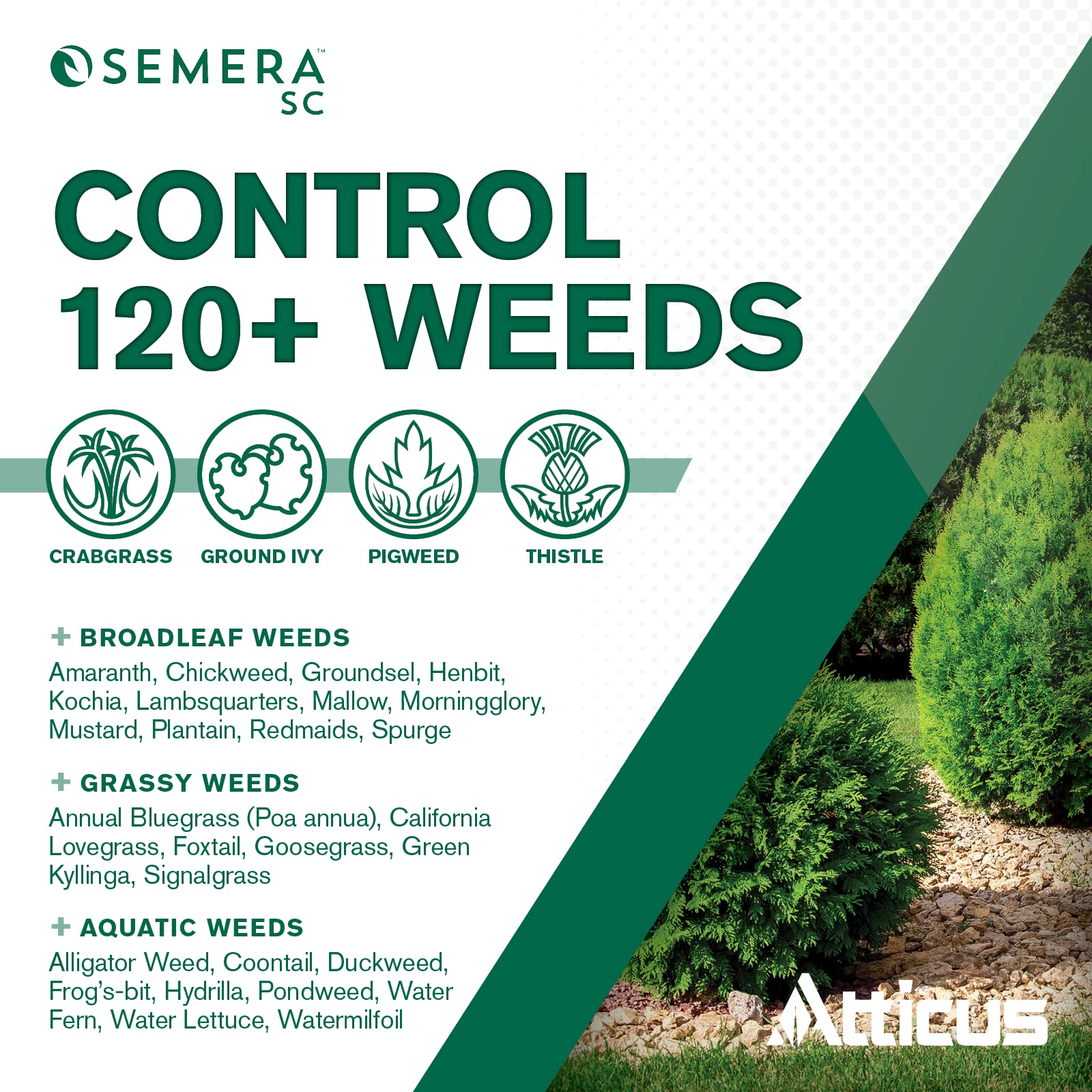 Semera SC Herbicide Concentrate (8 oz) by Atticus (Compare to SureGuard) – Flumioxazin Weed Killer – Season Long Lawn and Aquatic Weed Control