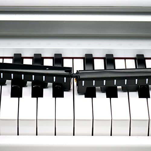 The ONE, 88-Key Digital Pianos-Home (TOH2)