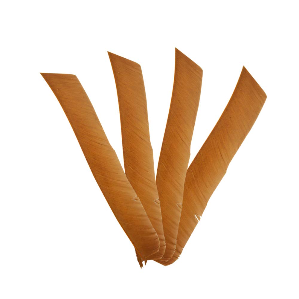 SHARROW 50pcs Archery Arrow Turkey Feathers Arrow Fletches Fletching Natural Feather Left Wing for Hunting Shooting Accessory (Brown)