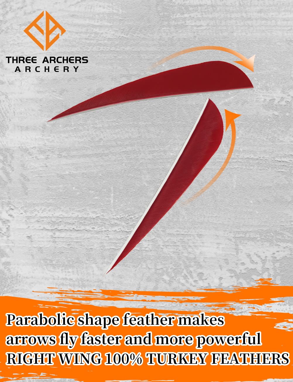 THREE ARCHERS 40 PK Arrow Feather Fletching 4β Nature Turkey Feather for Archery DIY Arrows (red)