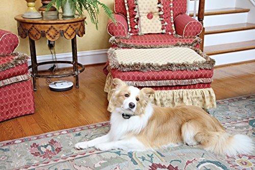 PetSafe Indoor Radio Fence