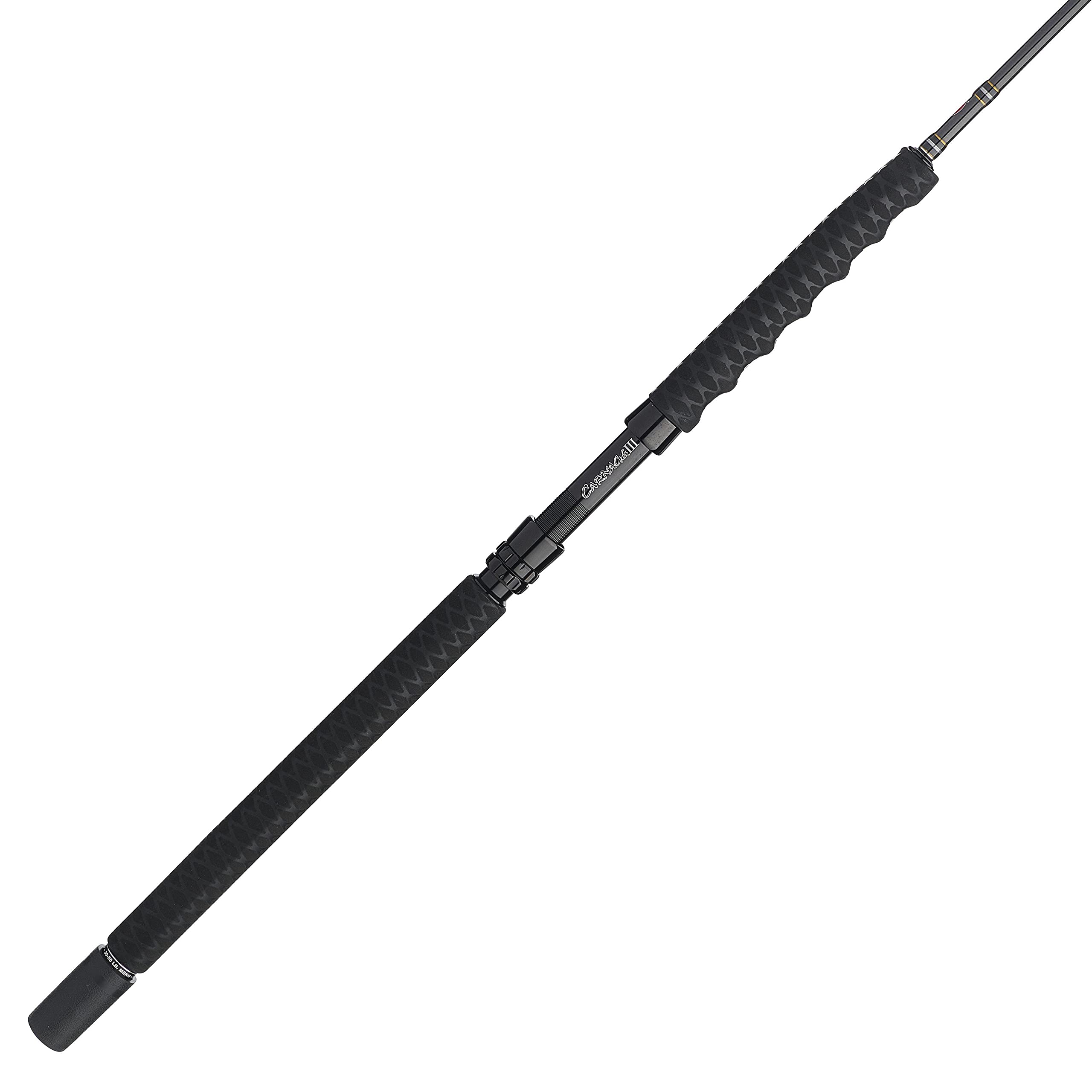 PENN® Carnage™ II Boat Spinning