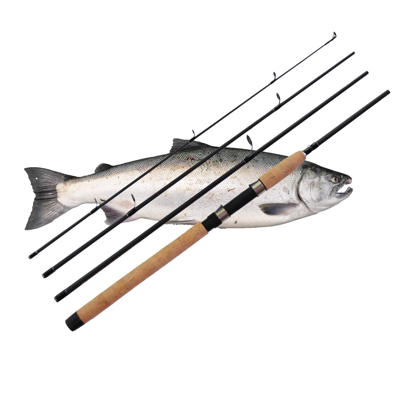 Santiam Fishing Rods 4 Piece 8'6'' 10-20lb Graphite Travel Spinning Rod