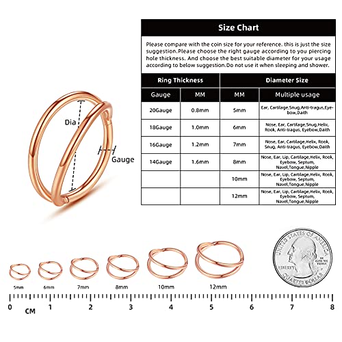 WBRWP Nose Ring Lip Rings Septum-Clicker: Double Black Nose Ring Hoops 16G 8mm 316L Surgical Steel Sleeper Earring Helix Rook Conch Cartilage Daith Tragus Earrings Nose Piercing Jewelry