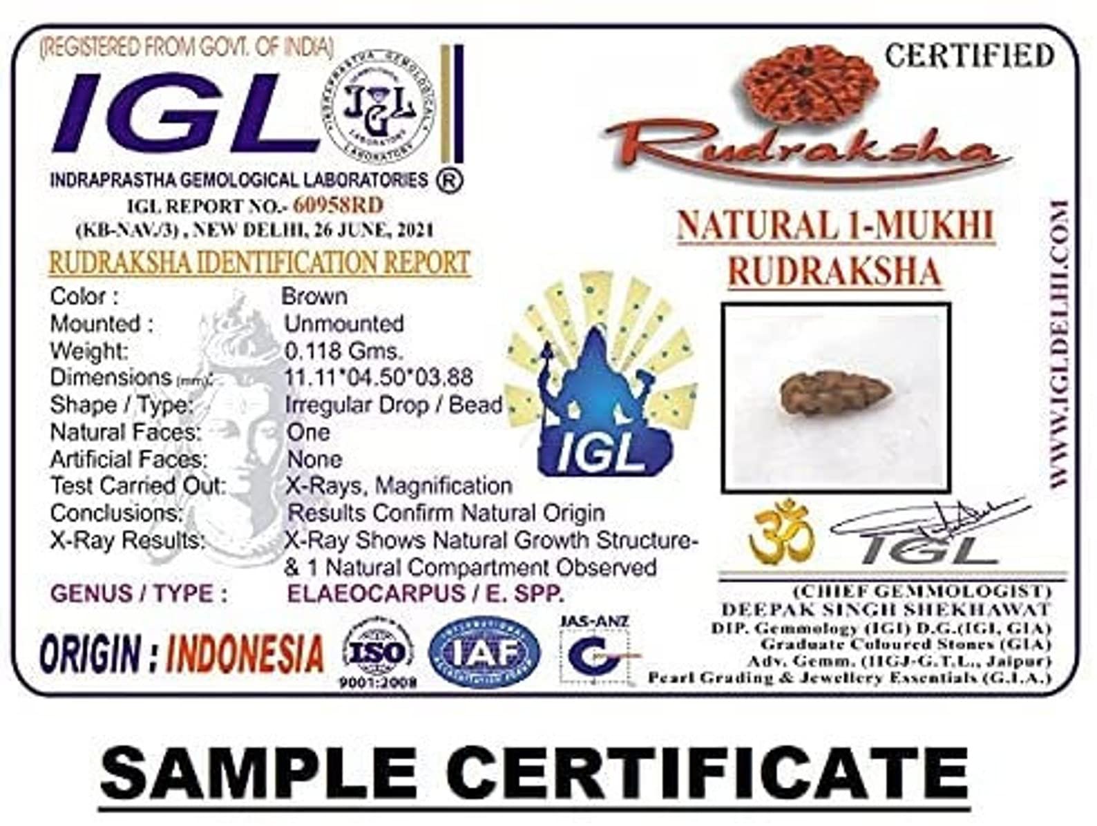 Vishaka Arts Natural 1 Mukhi Indonesian Rudraksha In Silver Case/One Mukhi Java Rudraksha In Silver Pendant 13mm-14mm IGL Certified