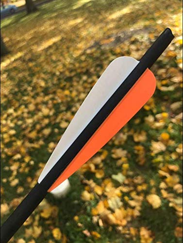 REEGOX Crossbow Bolts 20 inch Bio Crossbow Arrows with 4-Inch Vanes(Pack of 12)