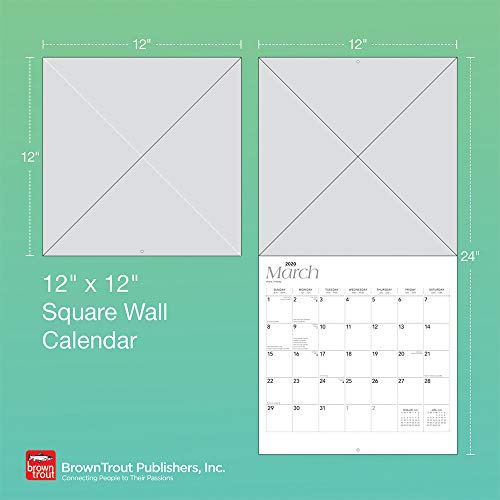 Parrots 2020 12 x 12 Inch Monthly Square Wall Calendar, Domestic Wildlife Animals Birds
