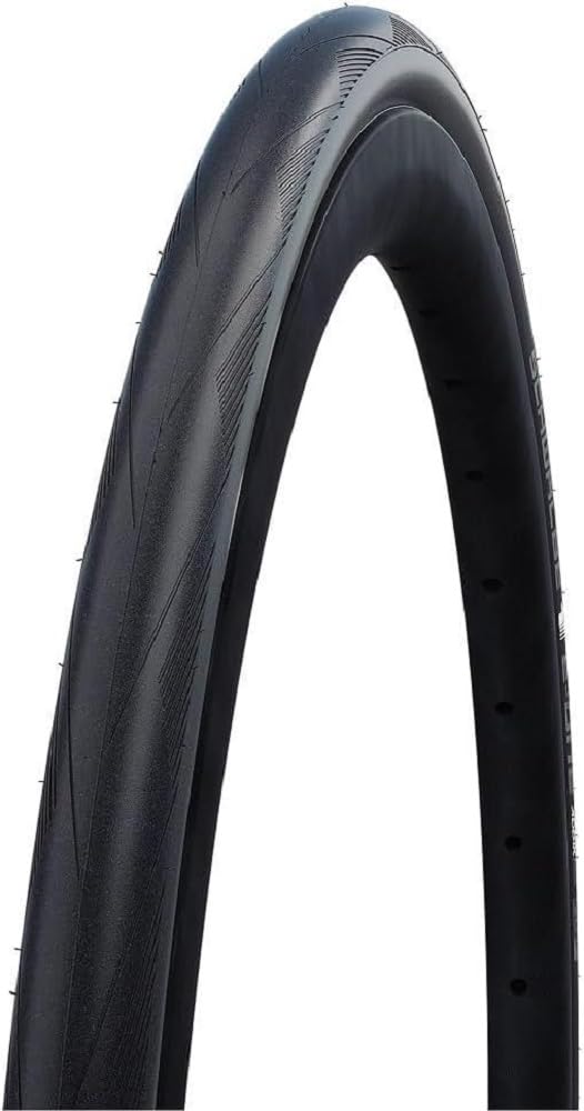 Schwalbe E-One Tire - 700 x 32, Clincher, Folding, Black, Evolution, V-Guard, Addix Race E50