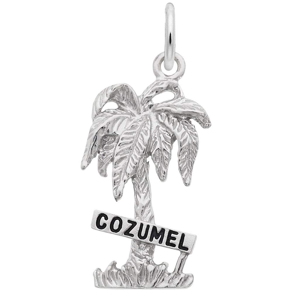 Rembrandt Charms 925 Sterling Silver Cozumel Palm W/Sign W/Bl.Paint Charm Pendant