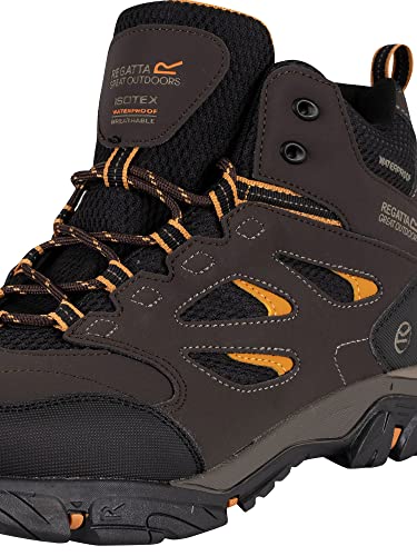 Regatta Men's High Rise Hiking Boots, Brown, 9