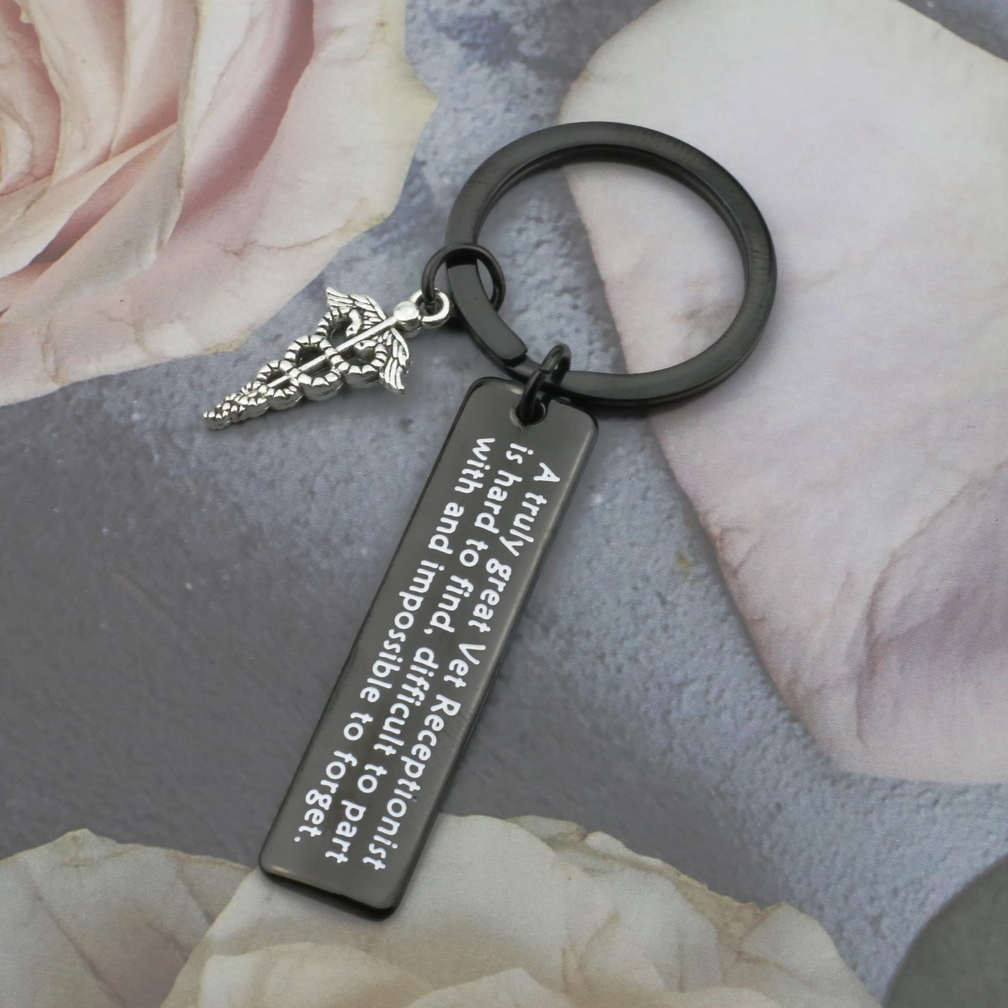 Vet Receptionist Keychain Vet Tech Gift Veterinary Assistant Vet Nurse Gift Veterinary Medicine Gift (Vet Receptionist KB), 1.18