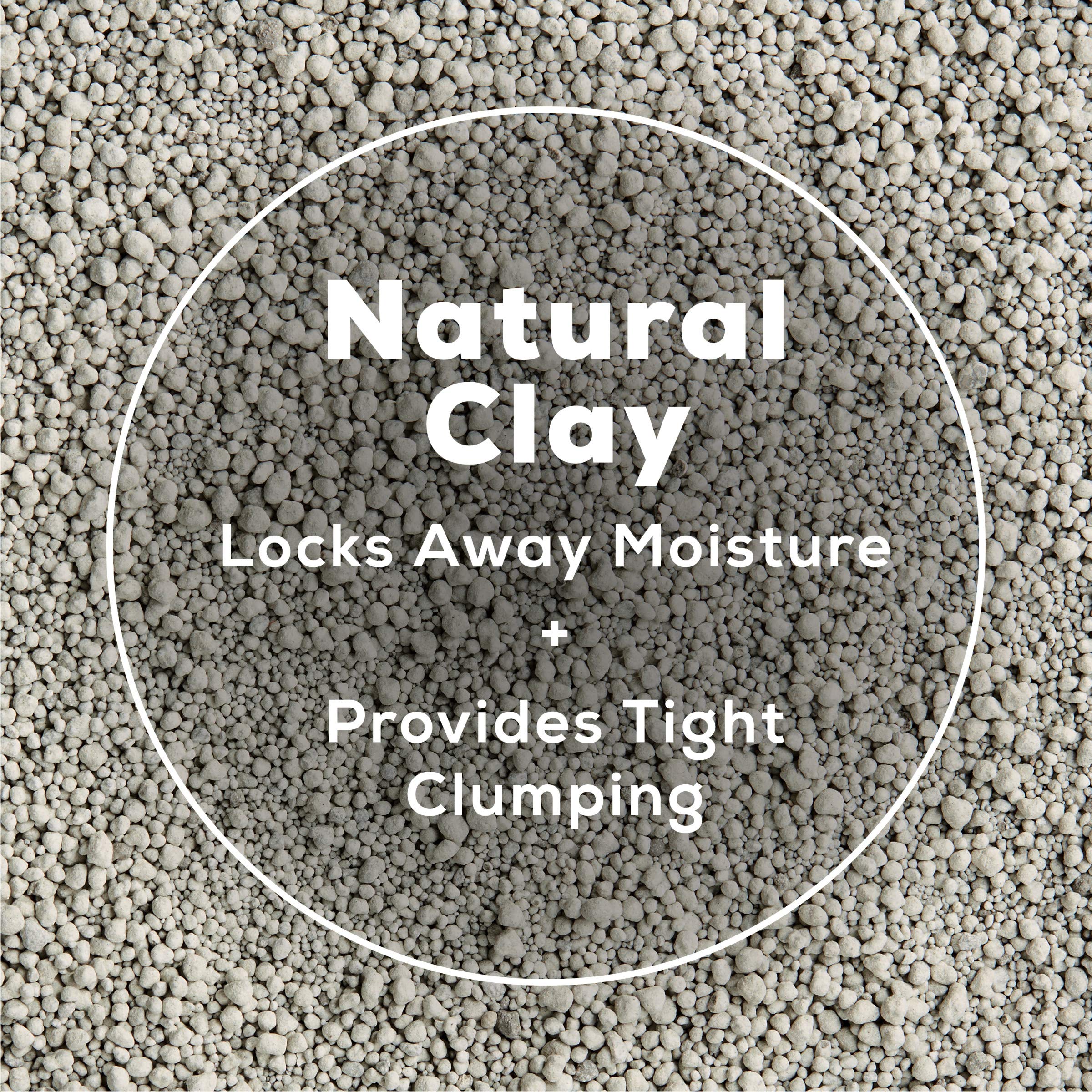 Purina Tidy Cats Unscented, Clumping, Natural Cat Litter, Naturally Strong Clay Multi Cat Litter - (4) 12 lb. Bags