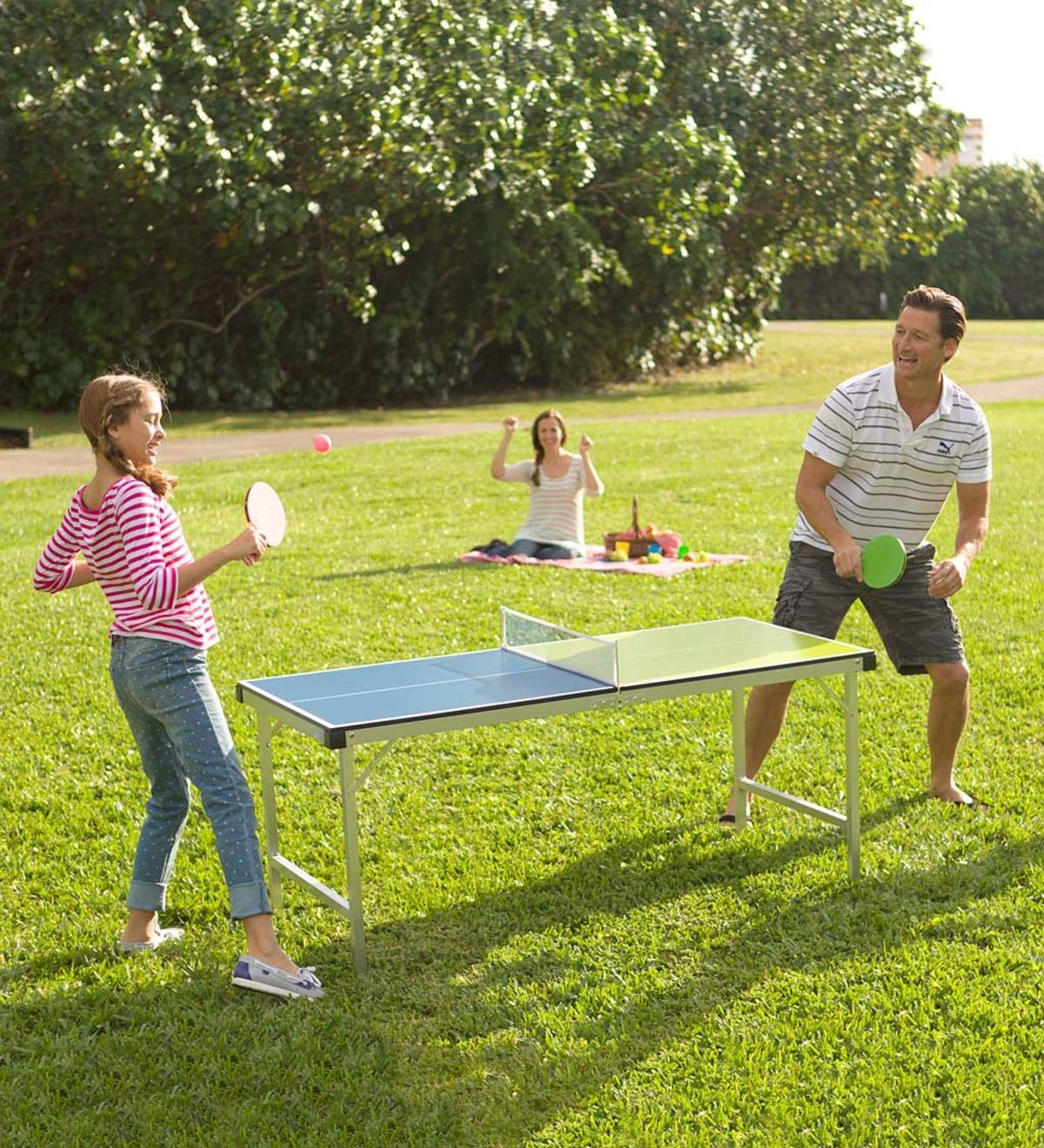 Pick-Up-And-Go Ping-Pong Table
