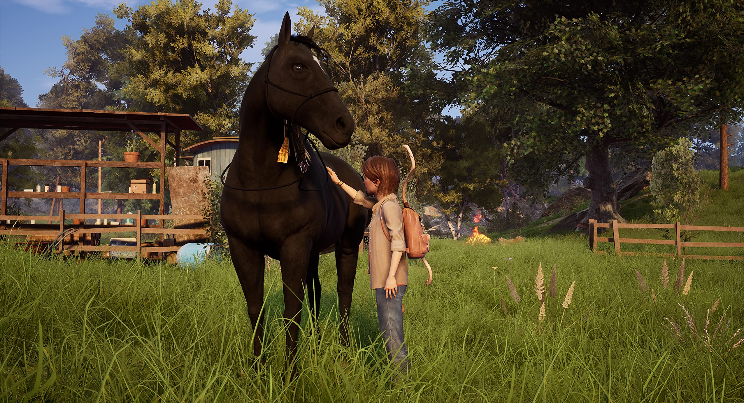 Windstorm: An Unexpected Arrival (PS4)