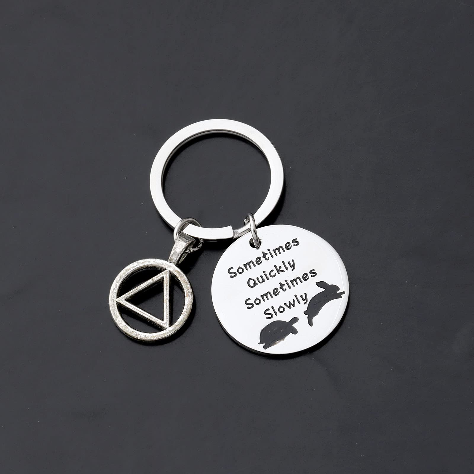 TIIMG Tortoise and Hare Sobriety keychain AA NA Inspirational Gift 12 Step Gifts New Beginning Gift (Sometimes Quickly)