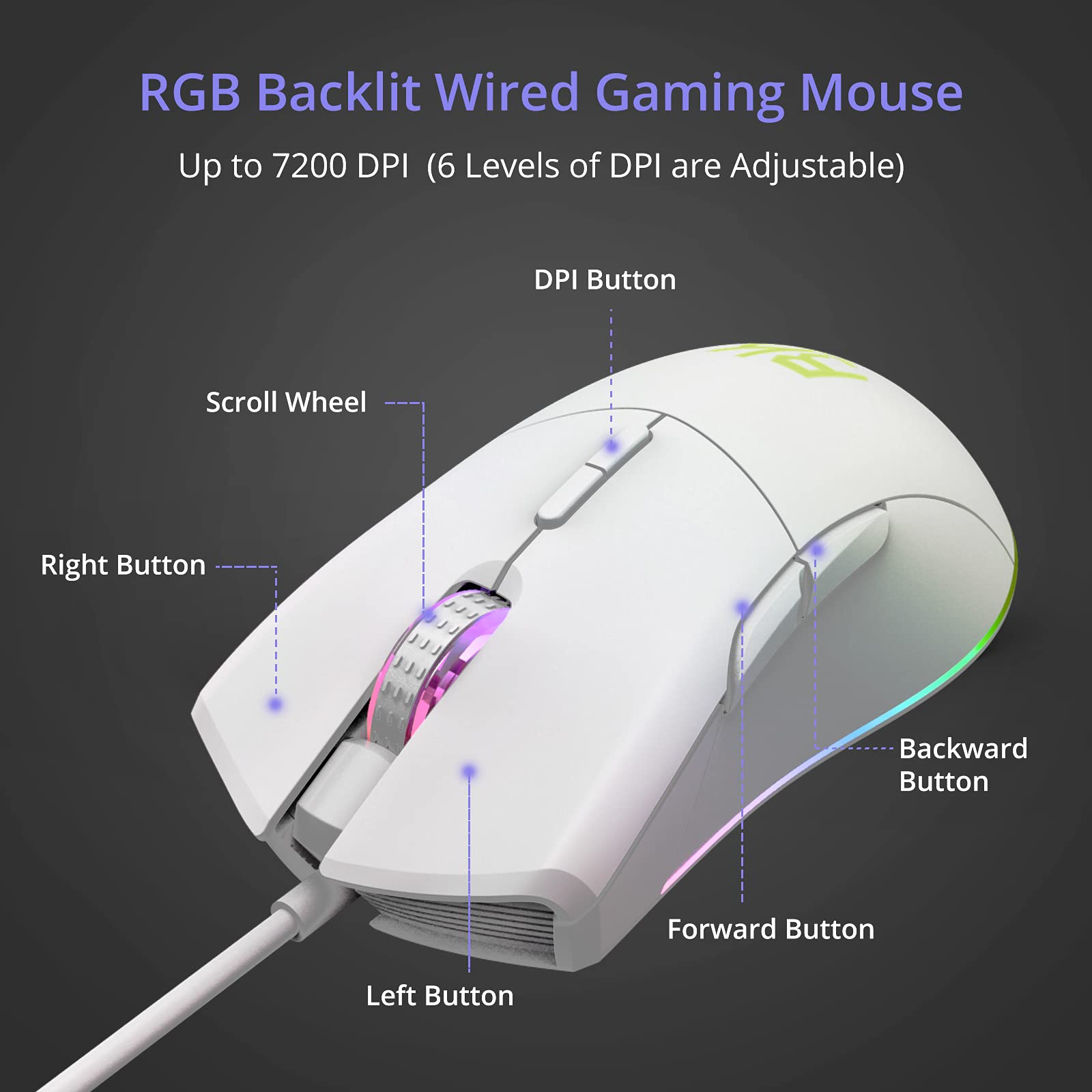 RK ROYAL KLUDGE RK71 Wireless/Wired Mechanical Keyboard and 7200 DPI Gaming Mouse, 71 Keys RGB Blue Switch Hot Swappable Compact Gaming Keyboard for Win/Mac