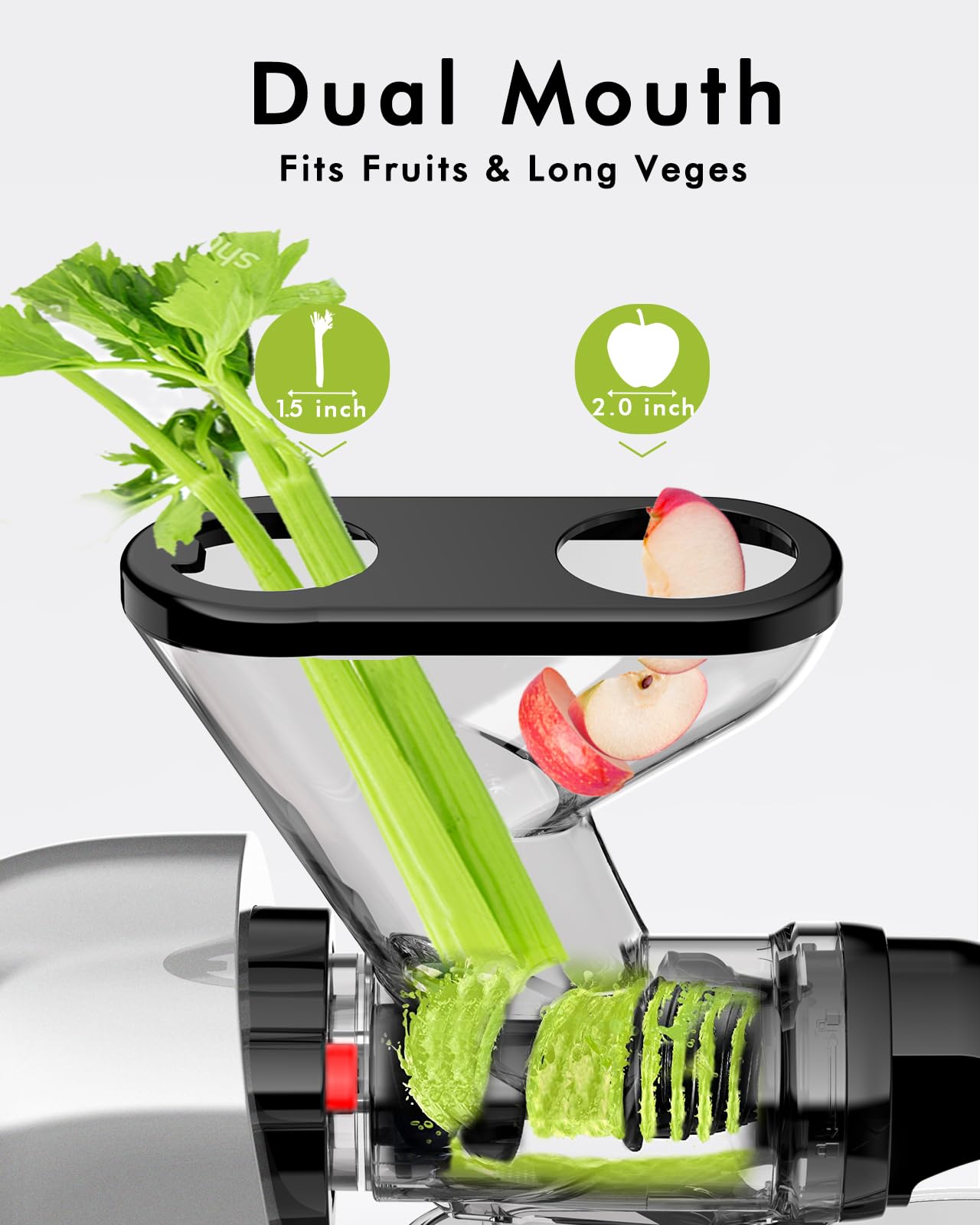 SiFENE Cold Press Juicer Machine, Dual Feed Chute Slow Masticating Juicer, Vegetable and Fruit Juice Maker Squeezer Machines, Recipes Included