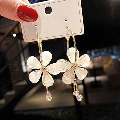 TERRYYO Women's Dangle Earrings - 3 Pairs, Hypoallergenic, Stainless Steel, 14K Gold Plated, Lightweight, Easy to Wear, Ideal for Any Occasion