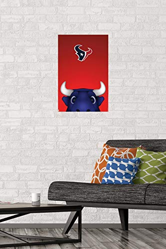 Trends International NFL Houston Texans - S. Preston Mascot Toro 20 Wall Poster, 14.725" x 22.375", Premium Poster & Mount Bundle
