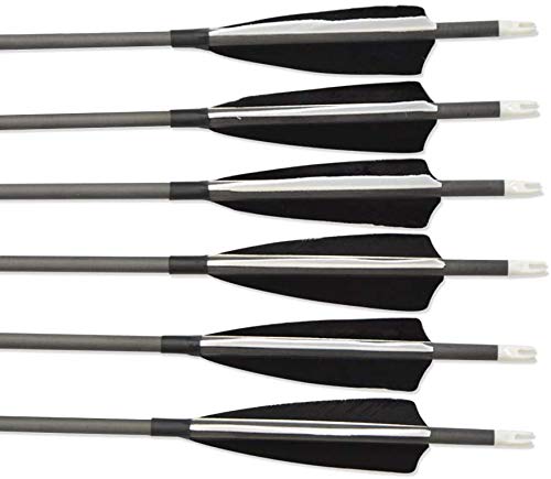 SHARROW 6/12 PCS Carbon Arrow 34 Inch Archery Arrow Spine 500 Turkey Feather Practice and Hunting Arrows with Removable Tips for Compound Bow and Recurve Bow