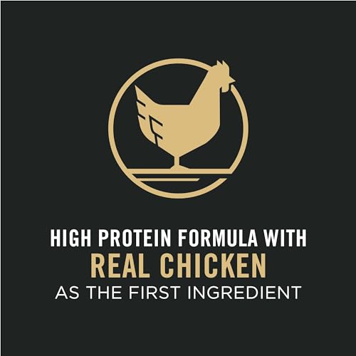 Purina Pro Plan High Protein, Cognitive Health Dry Dog Food, Chicken & Rice Formula - 16 lb. Bag