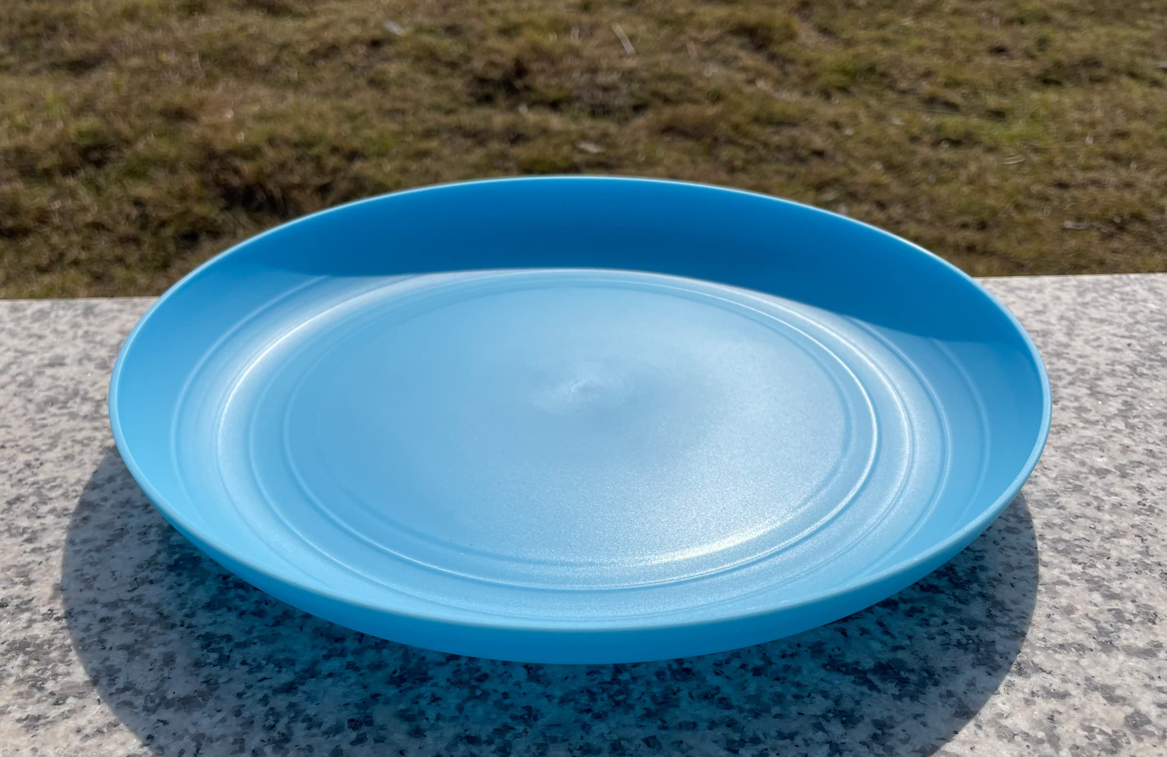 YUYUHUA Unbreakable Plastic Plates Reusable β Everyday Deep Dinner Plates 10 inch set of 6 β BPA Free Dishwasher Microwave Safe Hard Plates for Kitchen, Party, Camping, Outdoor