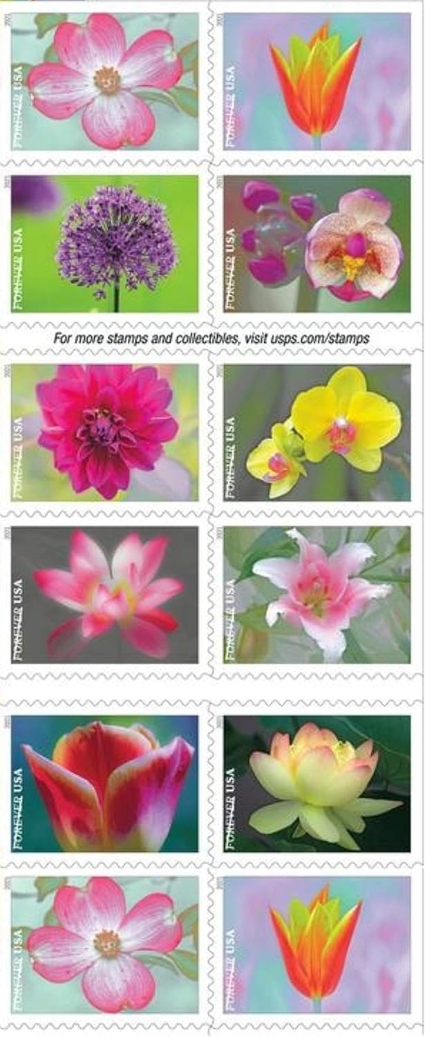 Postage Stamps Book of 20 self-Stick First Class Wedding Celebration Anniversary Flower Party (20 Stamps) c