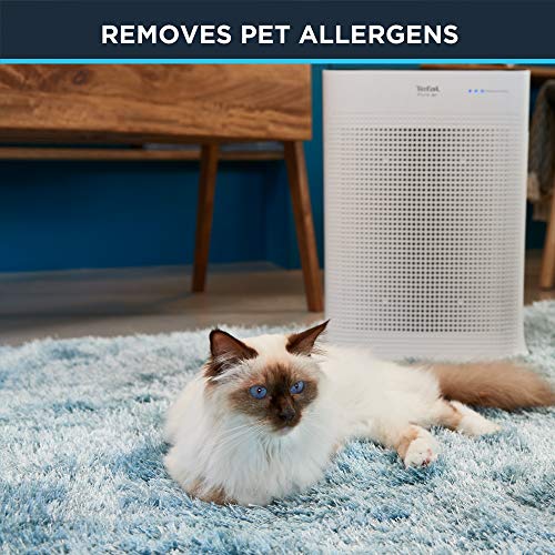 Rowenta 7211003489 PU3040U0 Air Purifier with True Hepa, Active Carbon, and Formaldehyde Filters, 243 Sq Ft, White
