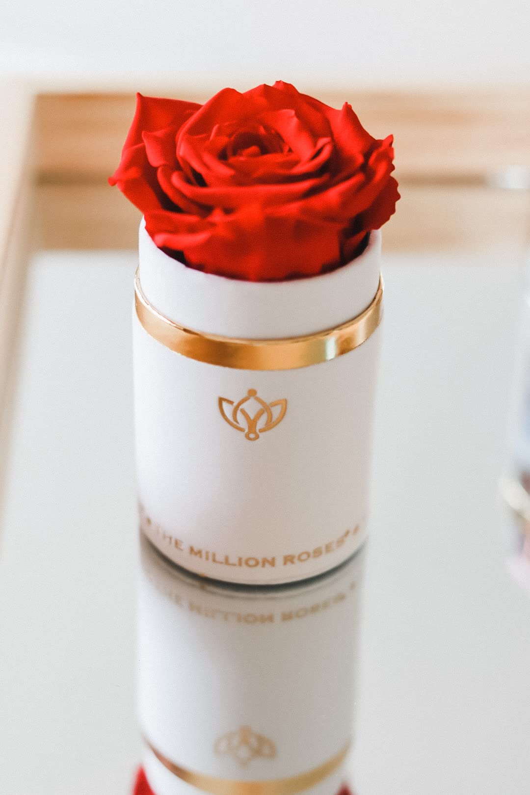 The Million Roses | Luxury Single Red Rose with White Suede Box - Premium Real Roses | Long Lasting Preserved Gift