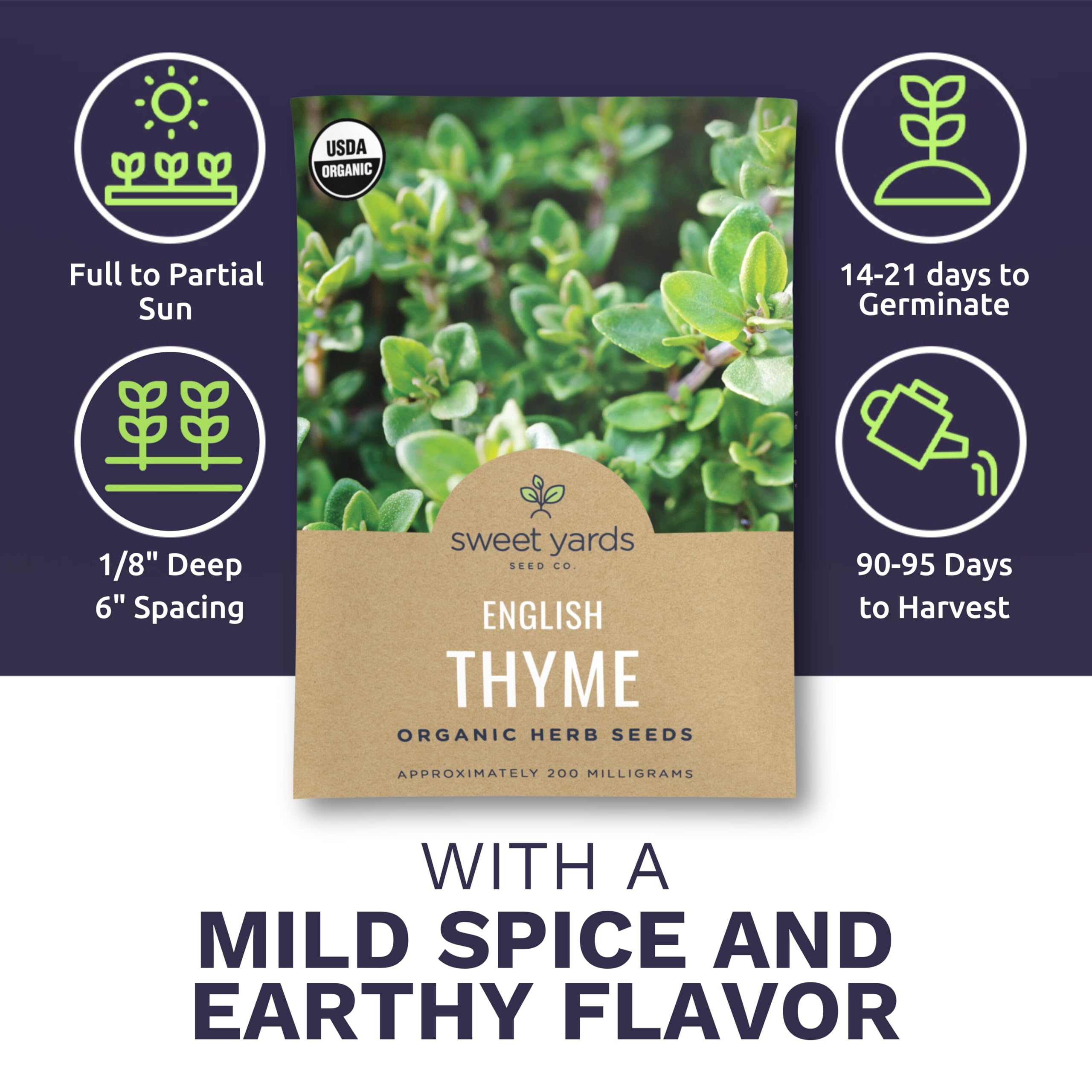 Organic English Thyme Seeds β Seed Packet of Over 8000 Open Pollinated Non-GMO Seeds β Sweet Yards Seed Co.