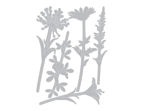 Sizzix Thinlits Die Set , Wildflower Stems #2 by Tim Holtz, 5 Pack, One Size, Multicolor 5 Piece
