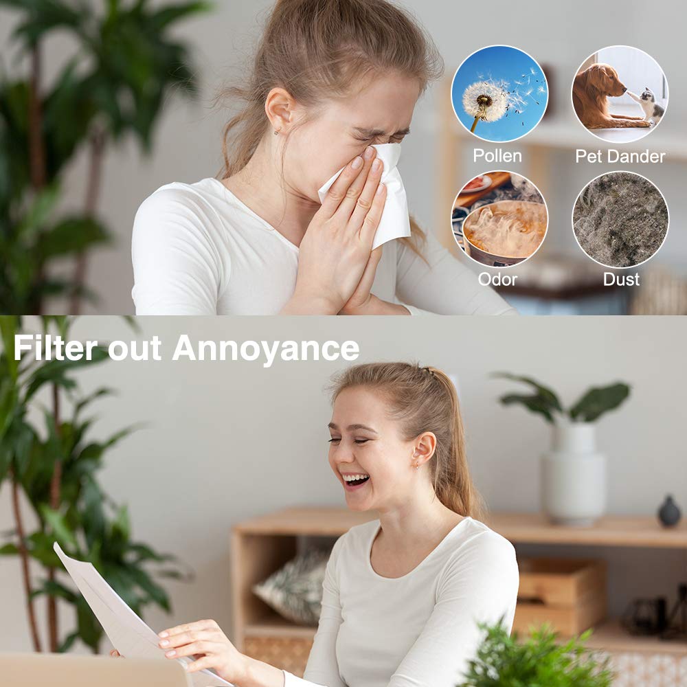 Replacement Filters - True HEPA Replacement Filter with Ions Filter for Pet Dander, Household Odor, Smoke & Dust