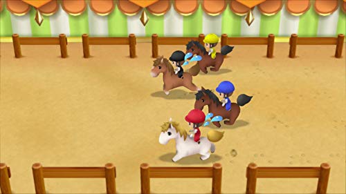 Story of Seasons: Friends of Mineral Town - Nintendo Switch