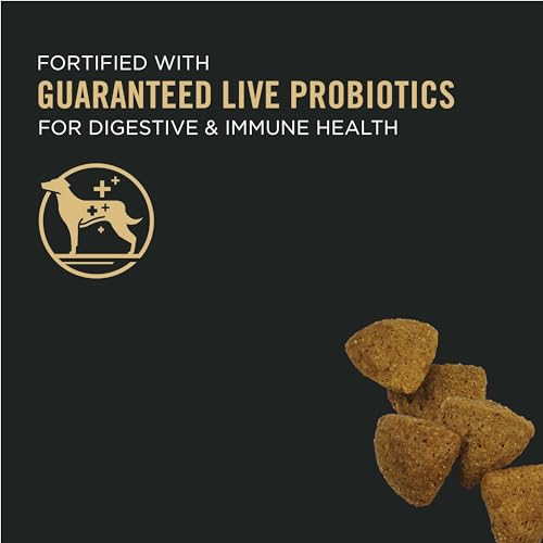 Purina Pro Plan High Protein, Cognitive Health Dry Dog Food, Chicken & Rice Formula - 16 lb. Bag