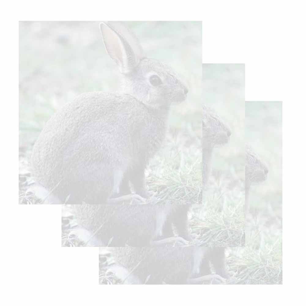 Rabbit Sticky Notes - Set of 3 - Wildlife Animal Theme Design - Stationery Gift - Paper Memo Pad - Office and School Supplies
